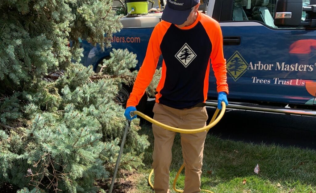 The Benefits of Professional Tree Fertilization Fort Worth | Arbor Masters