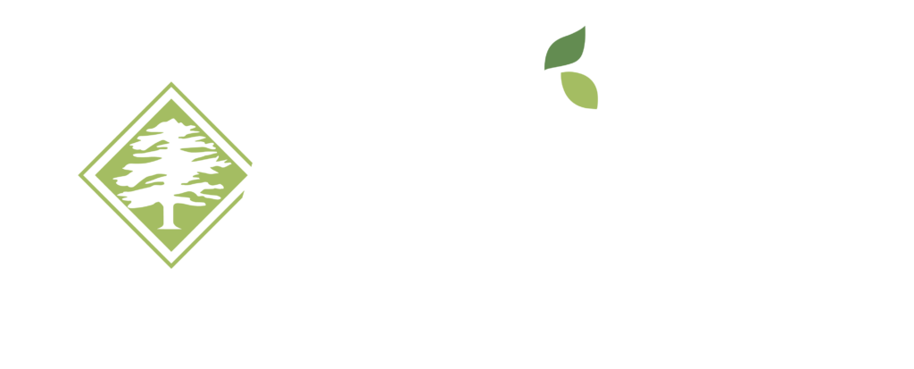 Advantage Tree Services | Quad Cities Tree Care Experts | Davenport IA