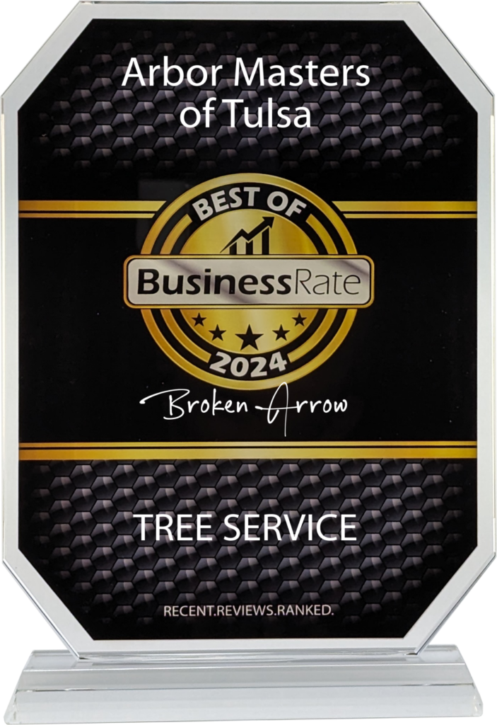About Arbor Masters | Tulsa Tree Service