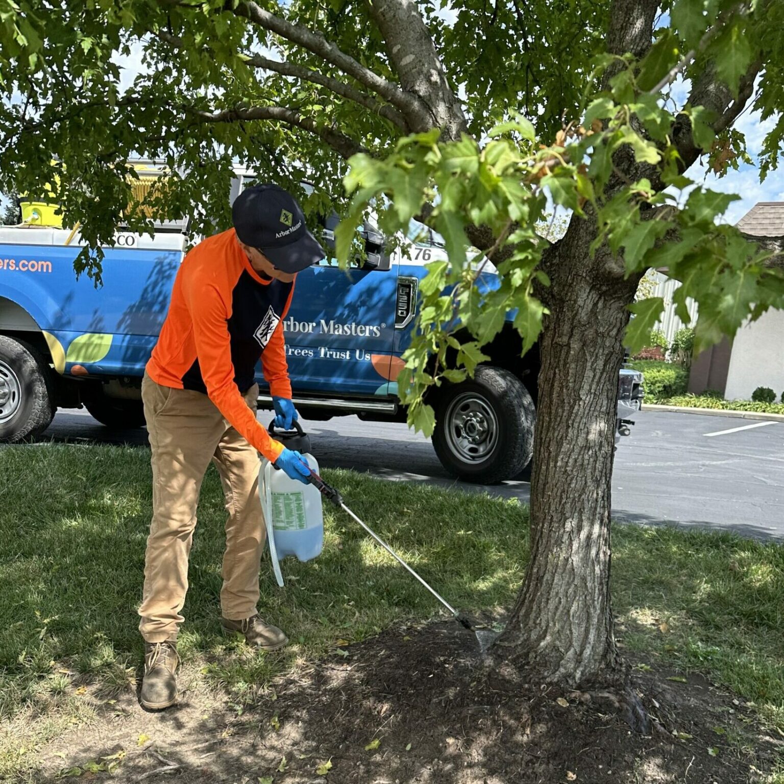 Wood-Boring Beetles: Identifying and Controlling These Destructive ...