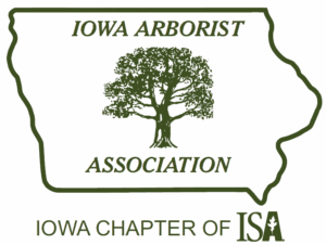 Advantage Tree Services | Quad Cities Tree Care Experts | Davenport IA